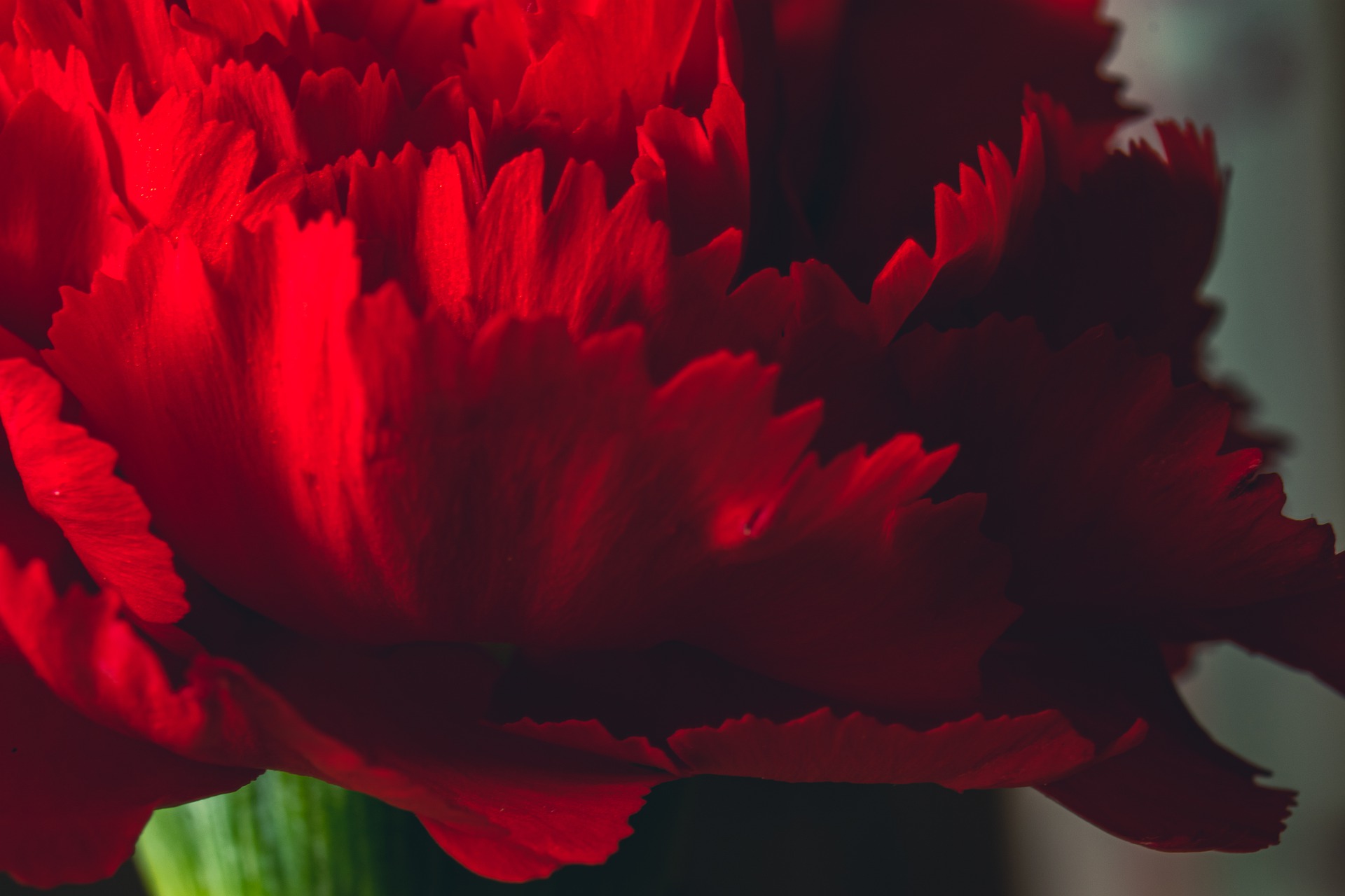 Happy Ezer Day! | Carolyn Custis James